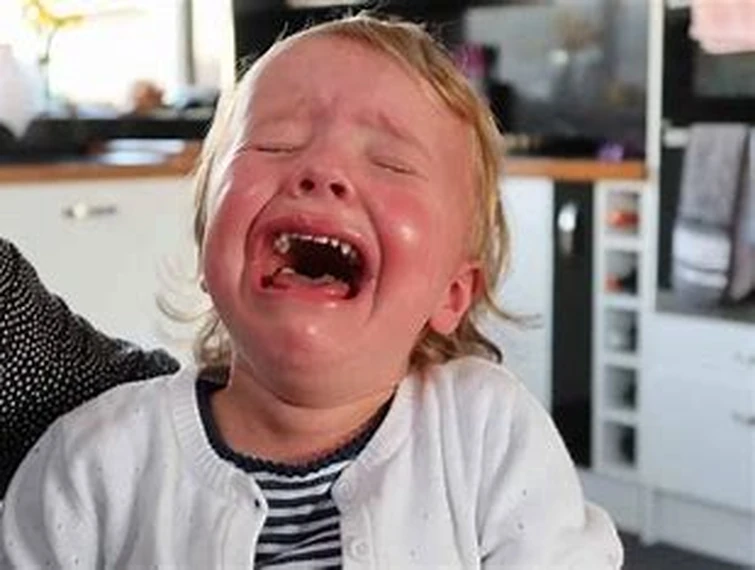 the community when the BB-5 crusher was added: | Fandom