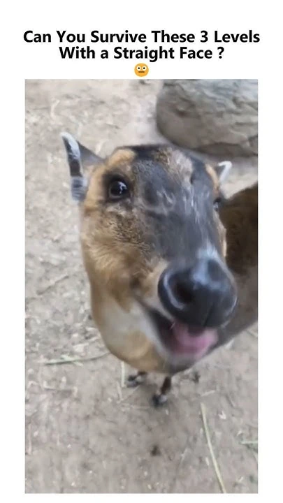 Subtle foreshadowing | Fandom