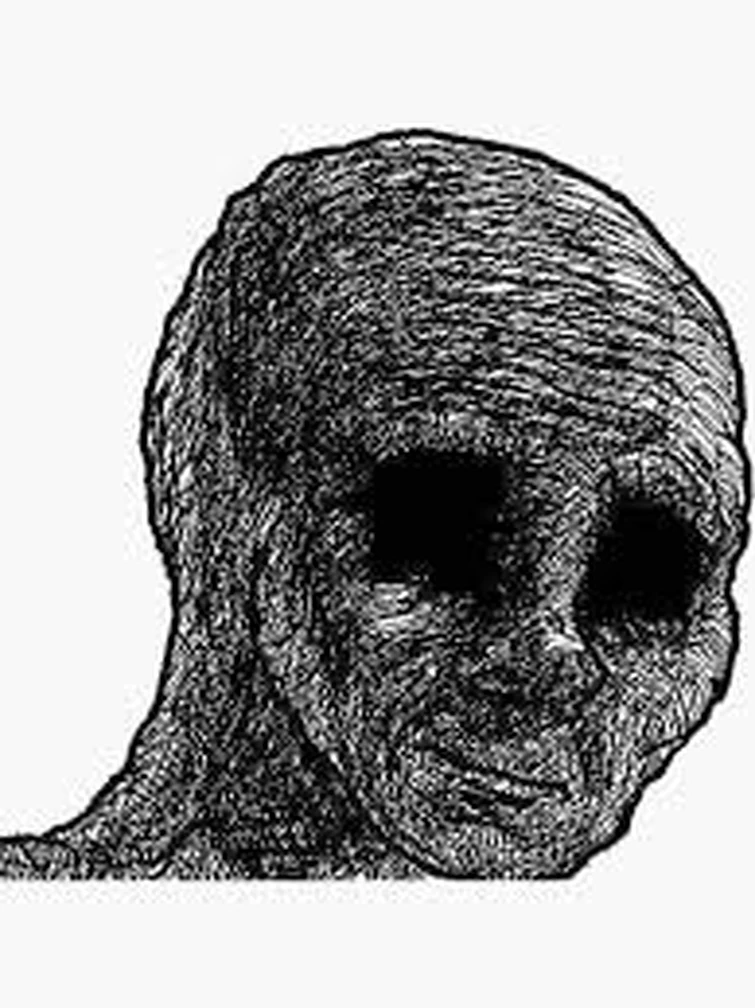 Okay this is funny | Fandom