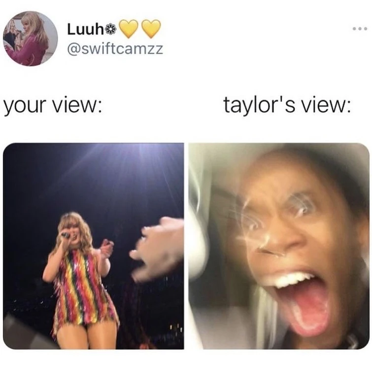 13 Taylor Swift memes that make your day. | Fandom
