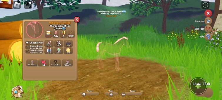 Discuss Everything About Wild Horse Islands Wiki | Fandom