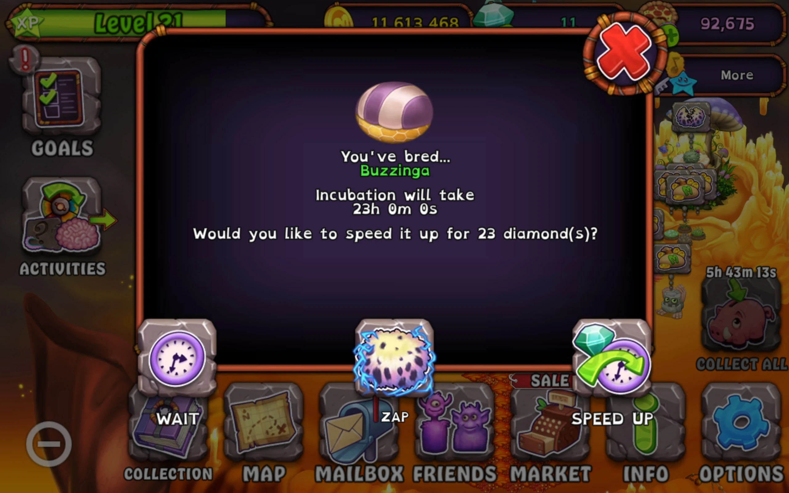 MY BUZZINGA | Fandom