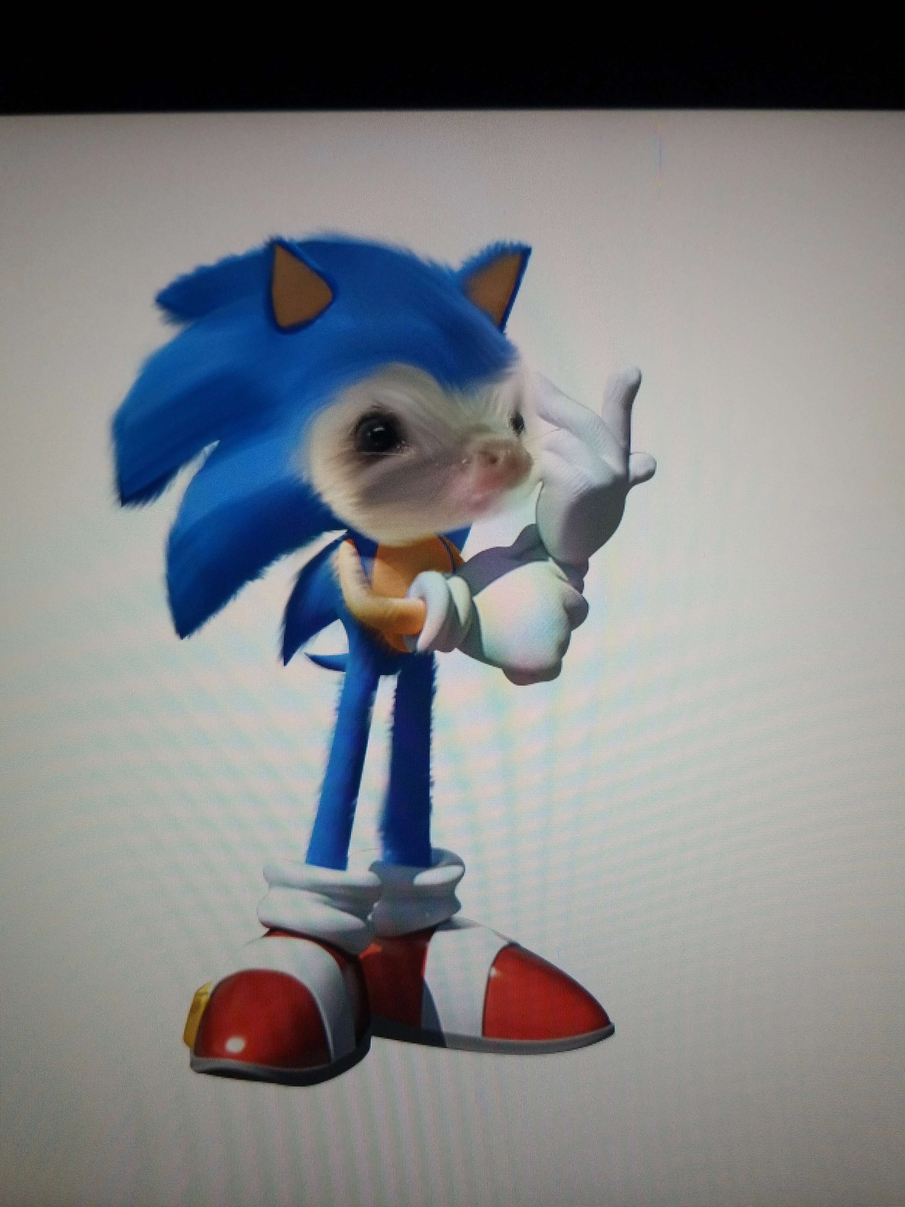 i made sonic more realistic | Fandom