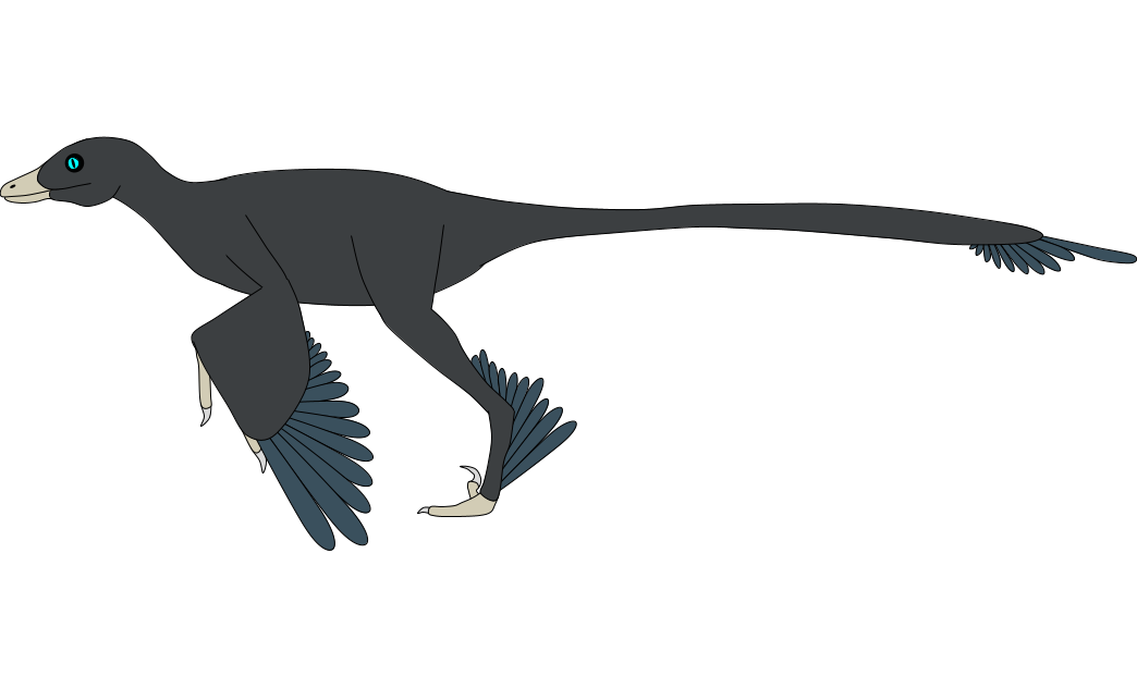 Microraptor | Fandom