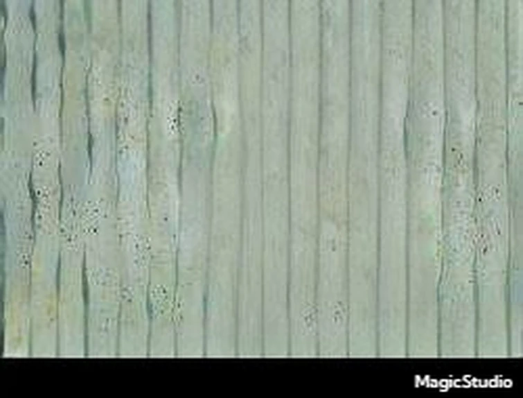 Discuss Everything About The Spongy Construction Project Wiki | Fandom