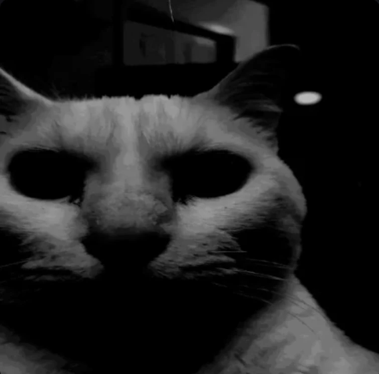 Benjixscarlett made a sprunki gyatt song... | Fandom