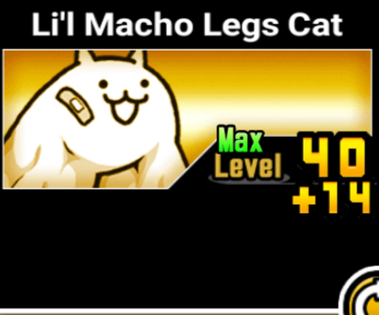 My Most Boosted Cats (+levels) | Fandom