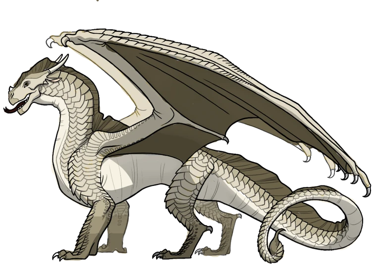 i colored some sandwing oc refs bc i felt like it. | Fandom