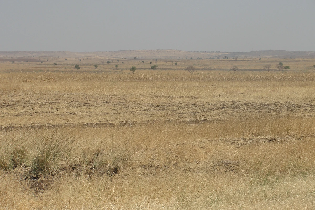 Battle plain of the west | De legende van de elfen wiki | Fandom