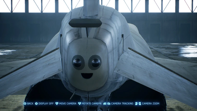 Does anyone know what are the smiley face sensors in the tail of the F ...