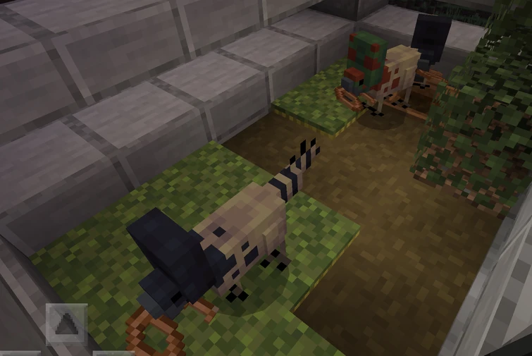 DMAPZ: Protoceratops enclosure! (test world) | Fandom