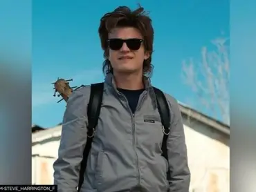 Best Season Steve | Fandom