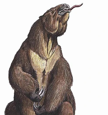 Discuss Everything About Dinopedia | Fandom