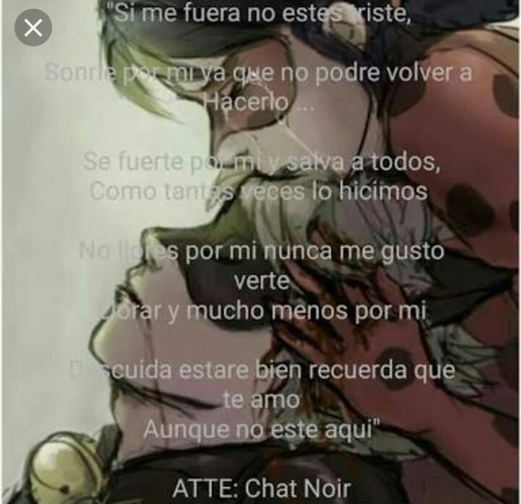 Estoy llorando | Fandom