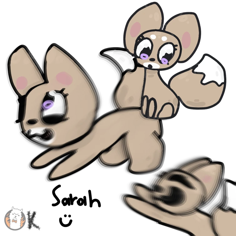 sarah the cat >;3 | Fandom