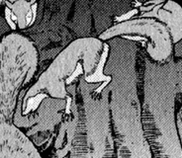 Discuss Everything About Dinopedia | Fandom