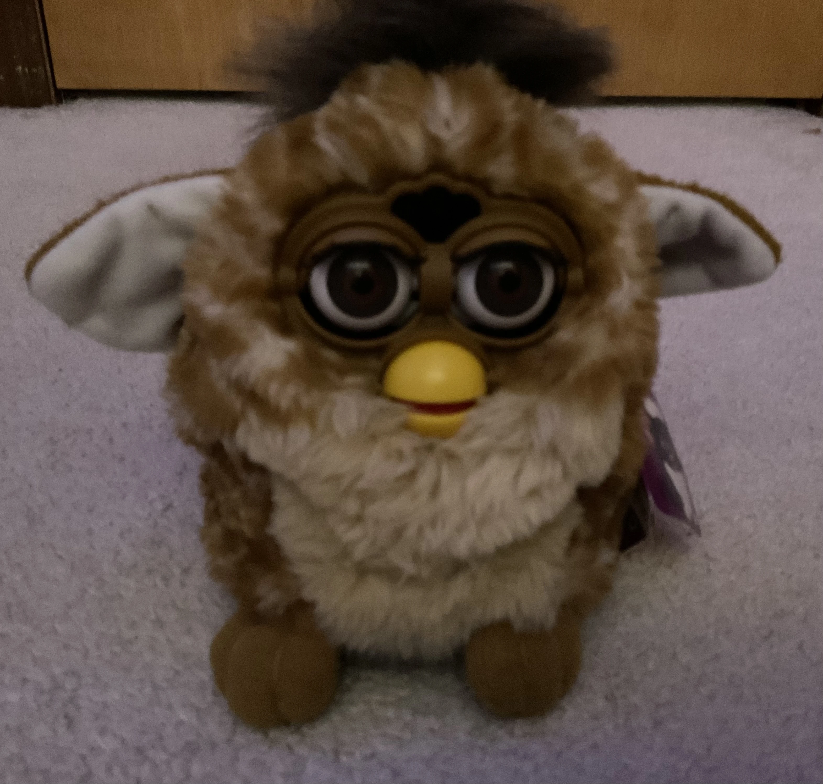 Good morning | Fandom