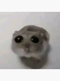 the HH pilot is better than the main show, change my mind | Fandom