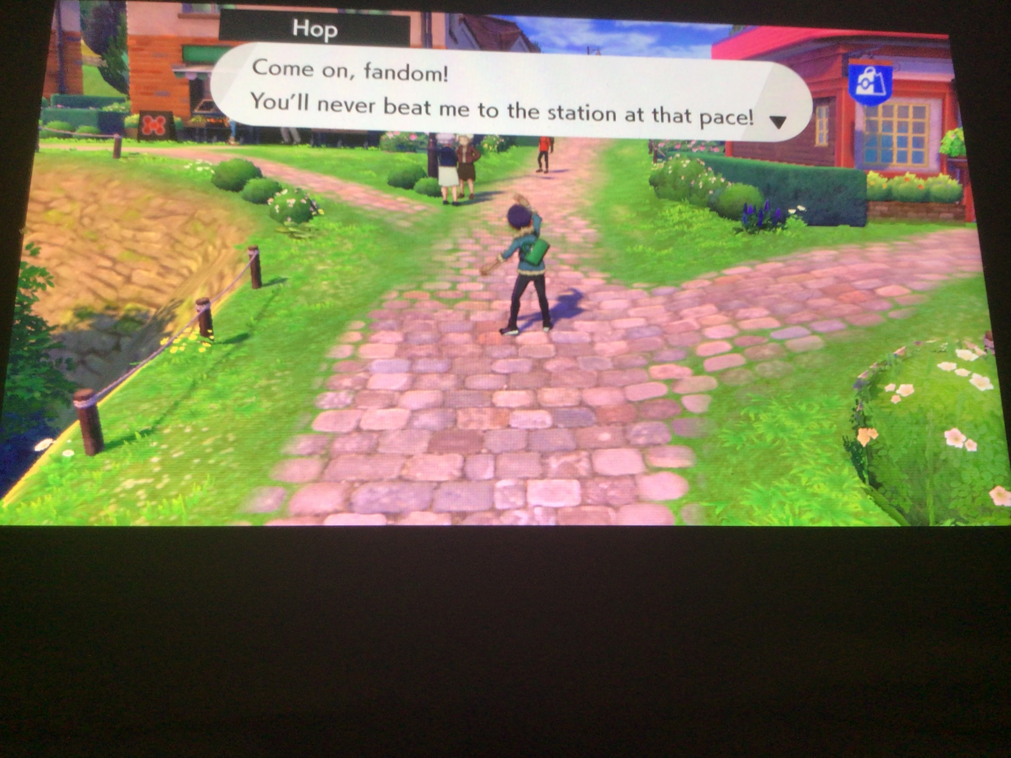 Pokémon fandom Pokémon play through part 5 | Fandom