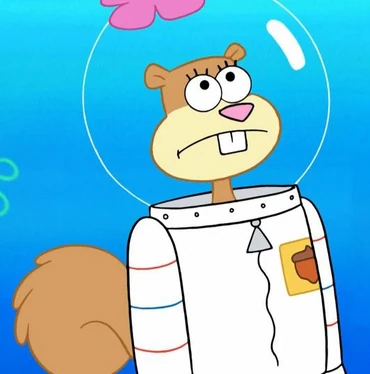 Which Of These Three Hero Wiki's Do You Think Fit Best For Sandy Cheeks ...