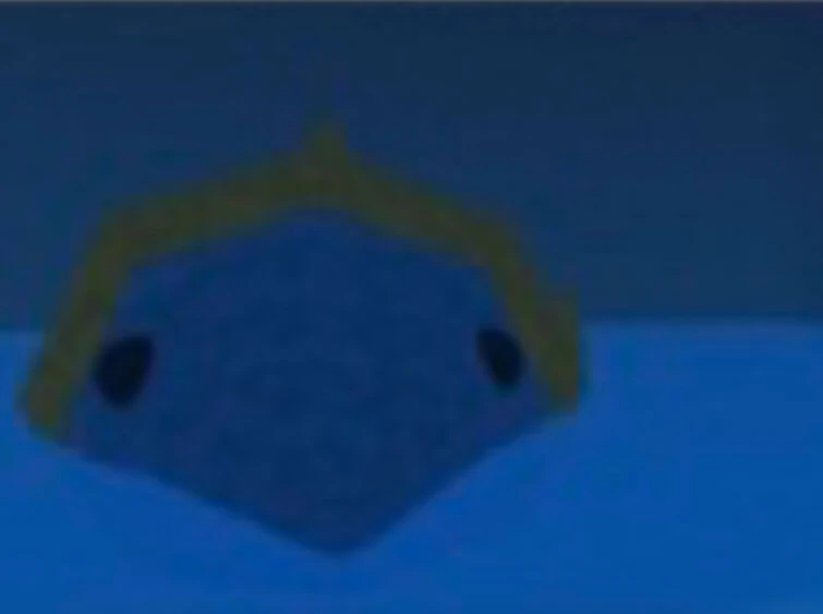 fish fish fish fish fish fish fish fish fish fish fish fish fish fish ...