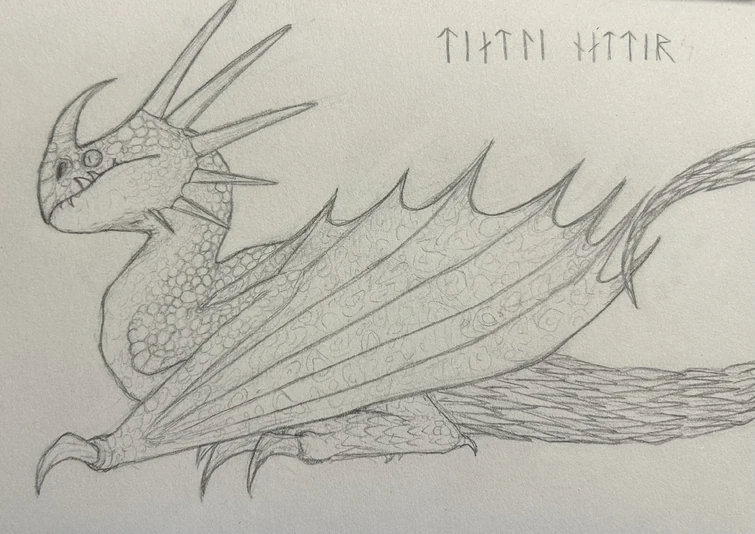 Drawing a Deadly Nadder from memory | Fandom