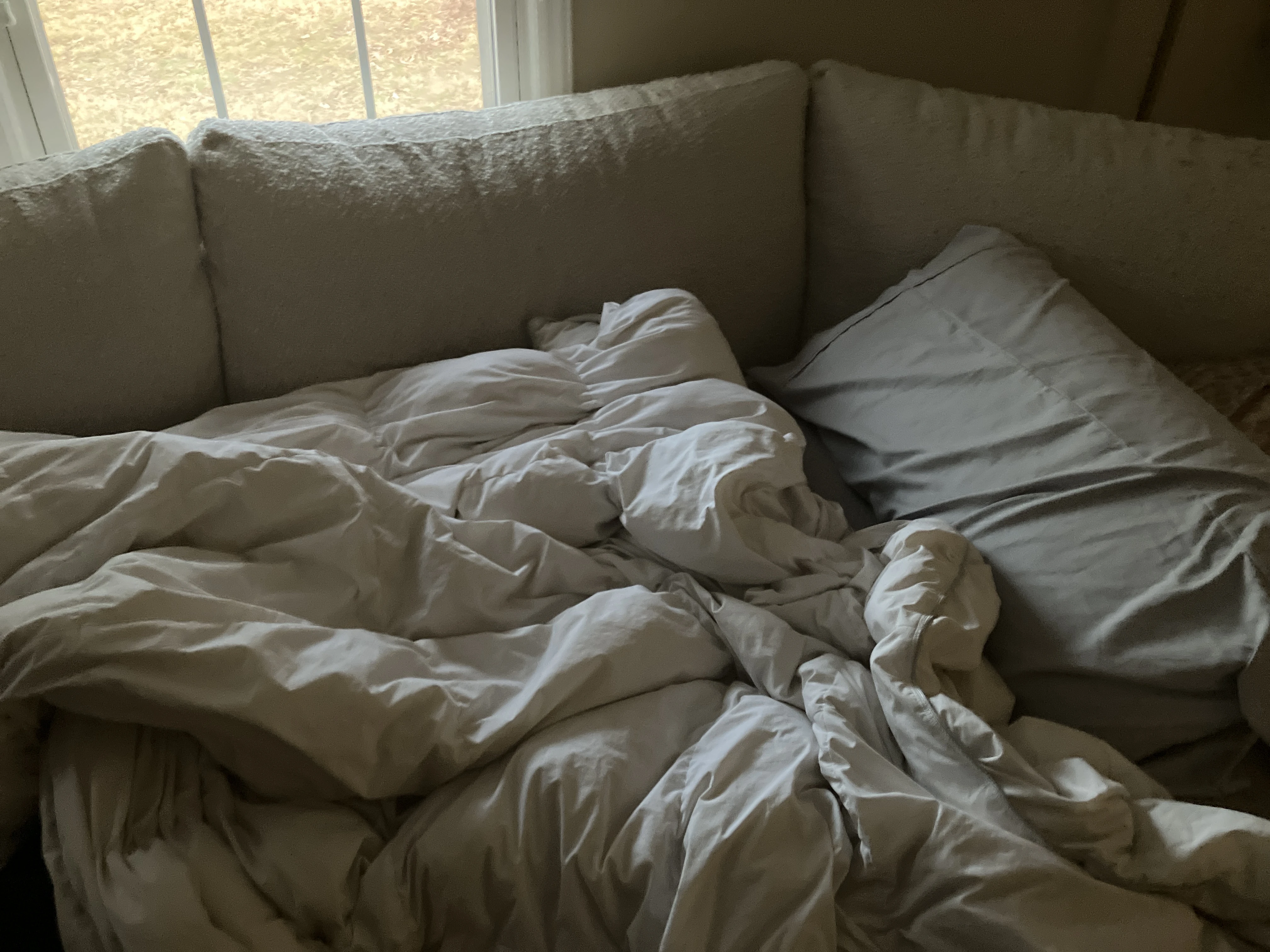 Rate the couch chat | Fandom
