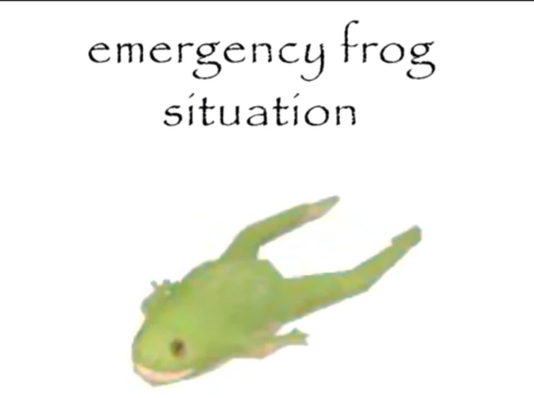 emergency frog situation | Fandom