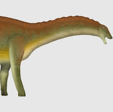 Discuss Everything About Dinopedia | Fandom