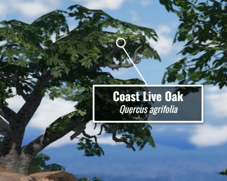 Discuss Everything About Ecos: La Brea Wiki | Fandom