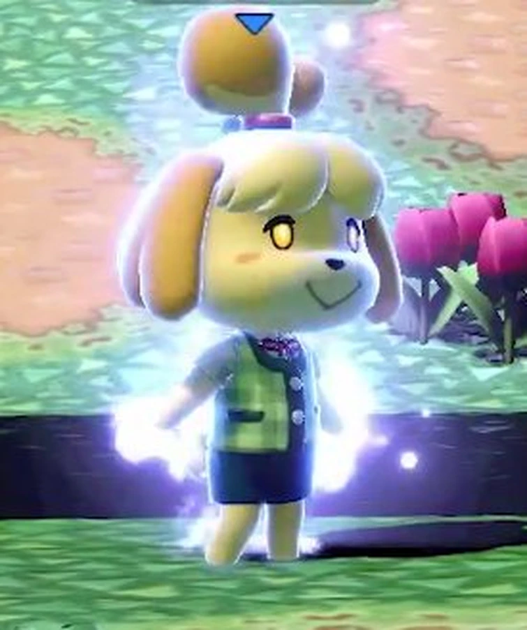 Goku vs Isabelle (How TF Goku wins fans?) (UI Isabelle used) | Fandom