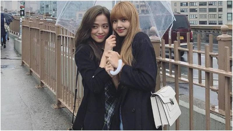 Introduction | Fandom