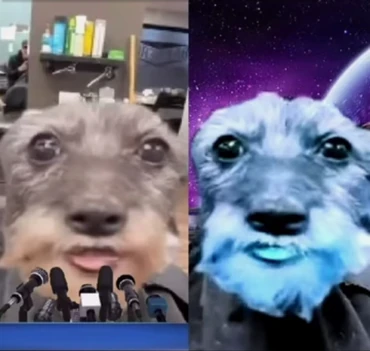 Who would win in a fight | Fandom