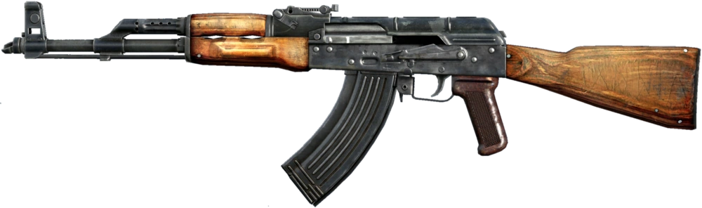 AKM | Dead of Winter: Roleplay Wiki | Fandom