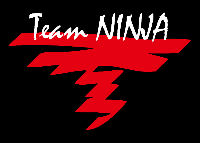 Team Ninja | Dead or Alive Wiki | Fandom