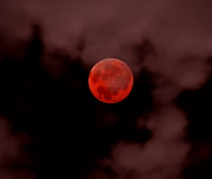 Day Cycle | Dead Rails Wiki | Fandom