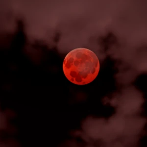 Discuss Everything About Dead Rails Wiki | Fandom