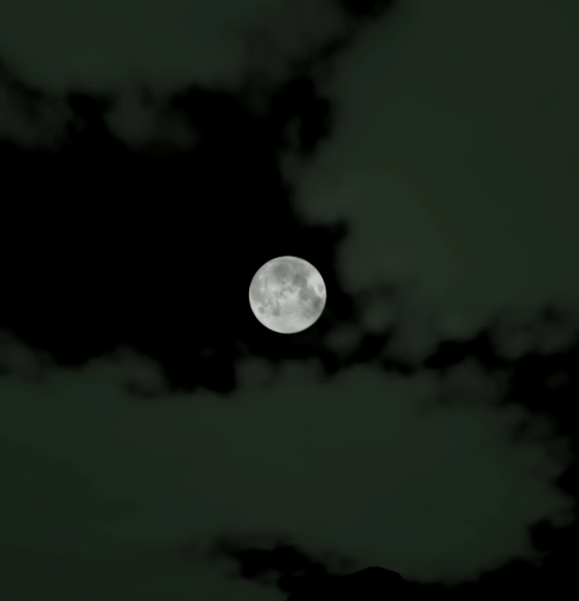 Discuss Everything About Dead Rails Wiki | Fandom