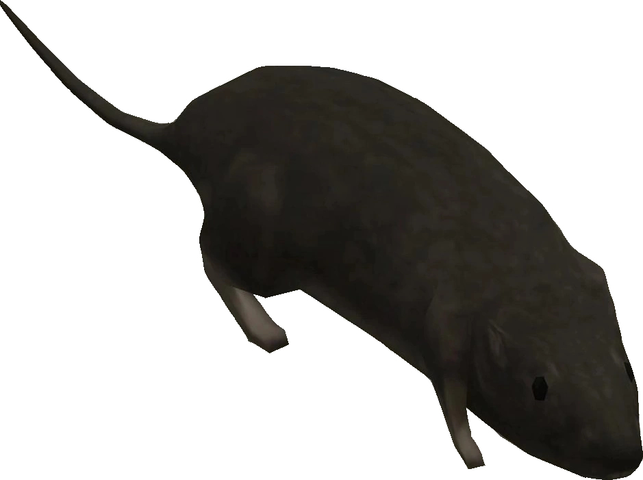 Dead rat | Dead rat saga Wiki | Fandom