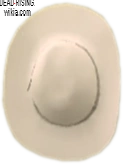 White Cowboy Hat | Dead Rising Wiki | Fandom