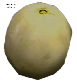 Melon (Dead Rising 2) | Dead Rising Wiki | Fandom