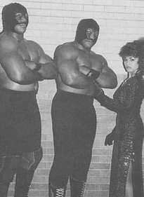 Butch Reed | Dead wrestler database Wiki | Fandom