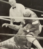 Butch Reed | Dead wrestler database Wiki | Fandom