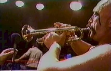 Angel of Death | Dead wrestler database Wiki | Fandom