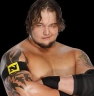 Bray Wyatt | Dead wrestler database Wiki | Fandom
