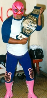 Villano 1 | Dead wrestler database Wiki | Fandom