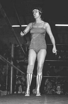 Sensational Sherri | Dead wrestler database Wiki | Fandom