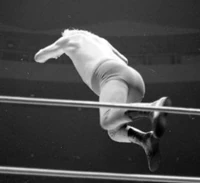 Ray Stevens | Dead wrestler database Wiki | Fandom