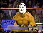 Mike Awesome | Dead wrestler database Wiki | Fandom