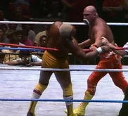 Superstar Billy Graham | Dead wrestler database Wiki | Fandom